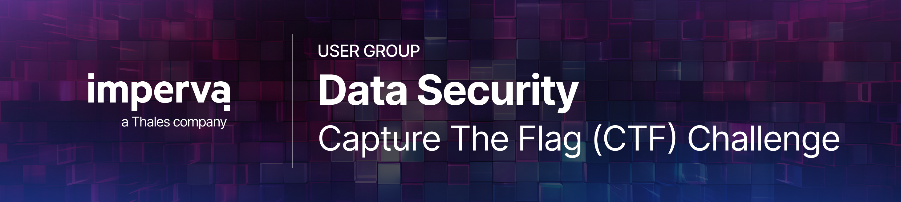 Data Security Capture The Flag (CTF) Challenge